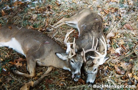 Hunter Shoots Two Locked Bucks in Illinois