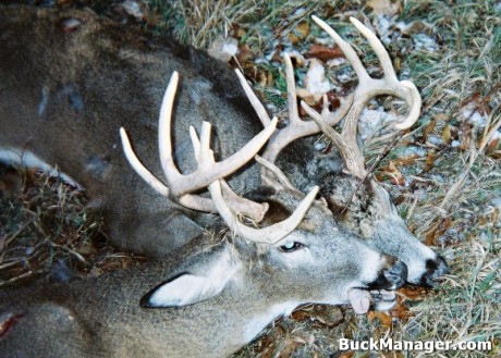 Hunter Shoots Two Locked Bucks in Illinois
